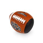 Official Composite Passback Training Football (Ages 14+)